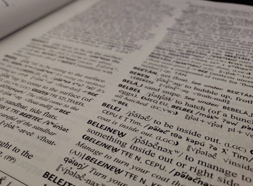VIDEO: New Indigenous dictionary compiled to save language in B.C ...