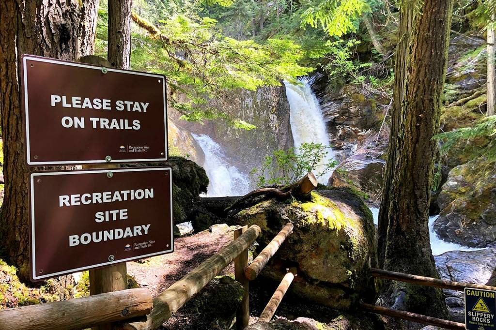 Sicamous Creek Falls trail reopens with safety improvements | Salmon ...