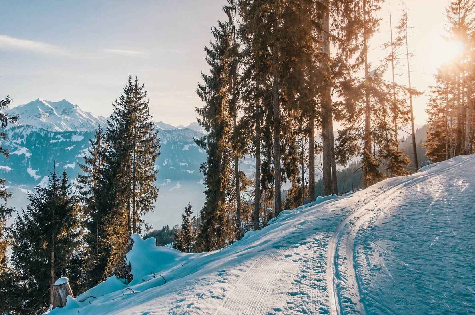 ’Tragic accident’ kills skier at Cypress Mountain Resort | Salmon Arm ...